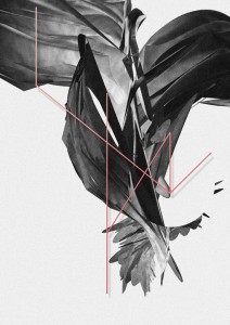 David Hughes - Icarus