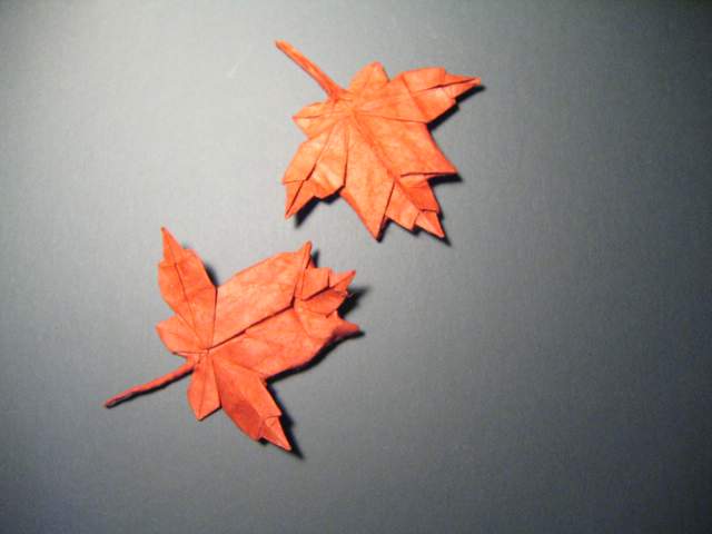 Brian Chan Origami