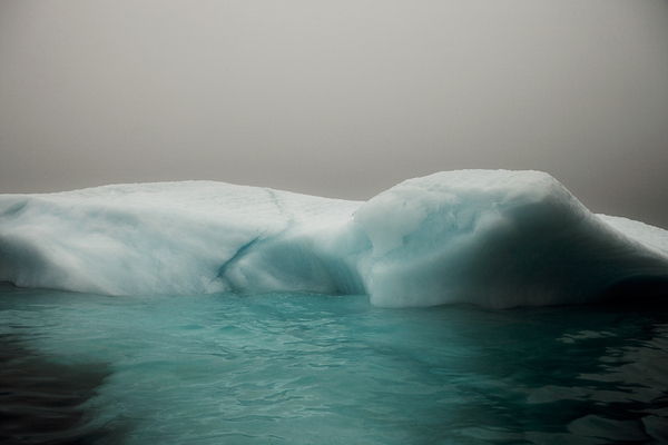 Simon Harsent - Iceberg