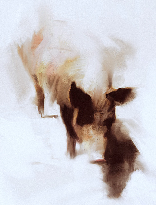 Mattias Snygg animals illustrations