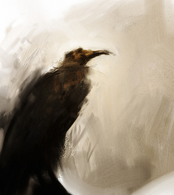 Mattias Snygg animals illustrations