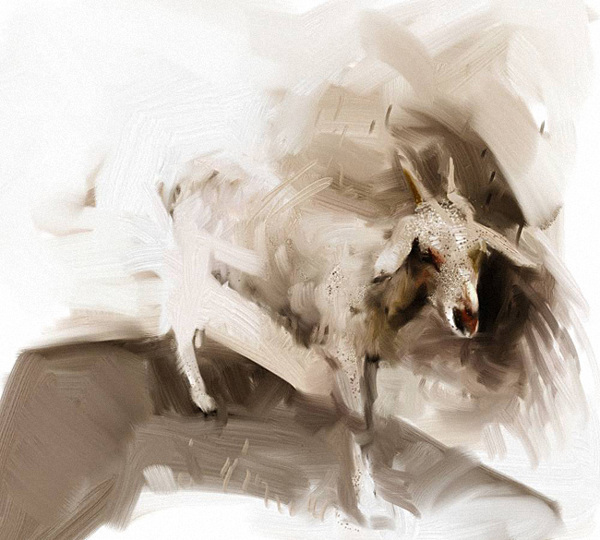 Mattias Snygg animals illustrations