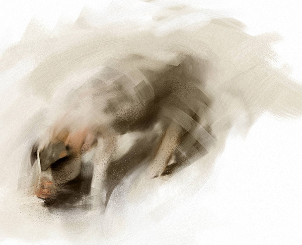 Mattias Snygg animals illustrations