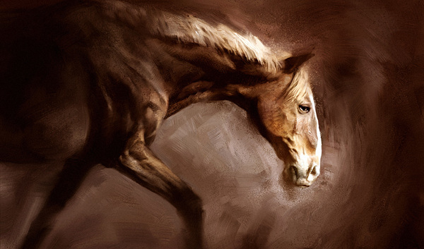 Mattias Snygg animals illustrations