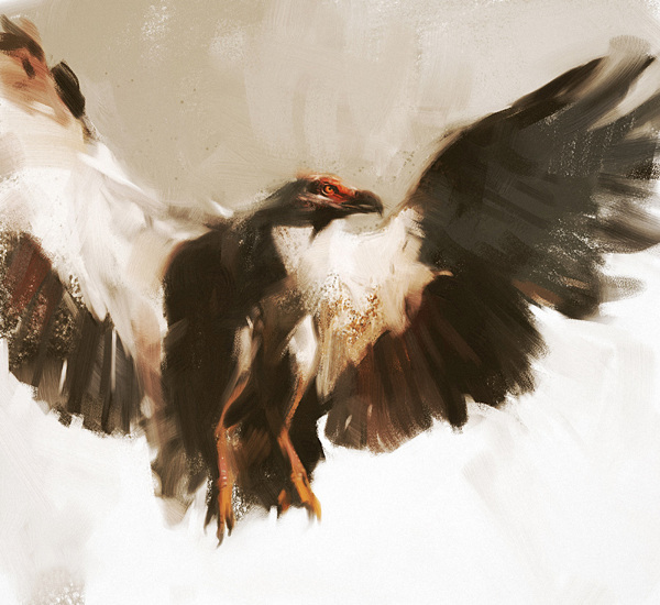 Mattias Snygg animals illustrations